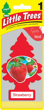 LITTLE TREES | AIR FRESHENER 1PK - 24PC – RN International Inc.